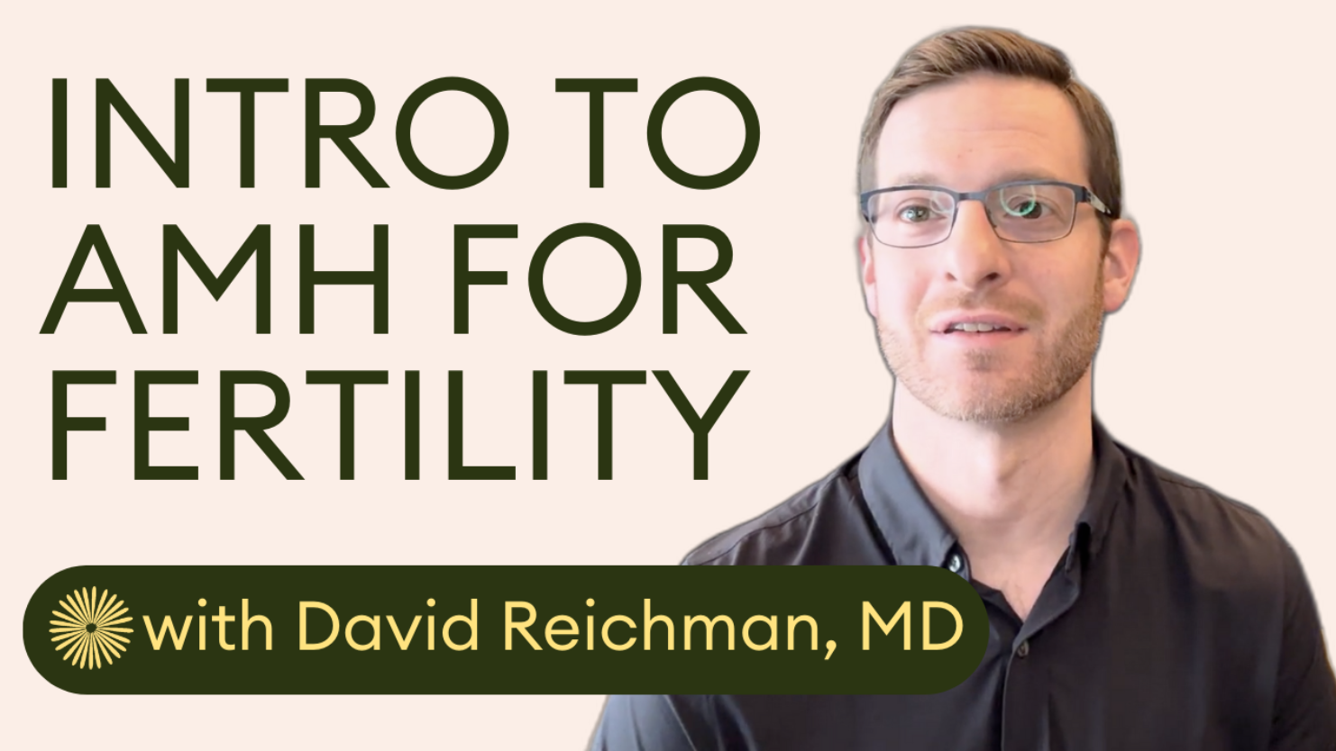What Is AMH? AMH for Fertility | Dr. David Reichman – Dandi Fertility