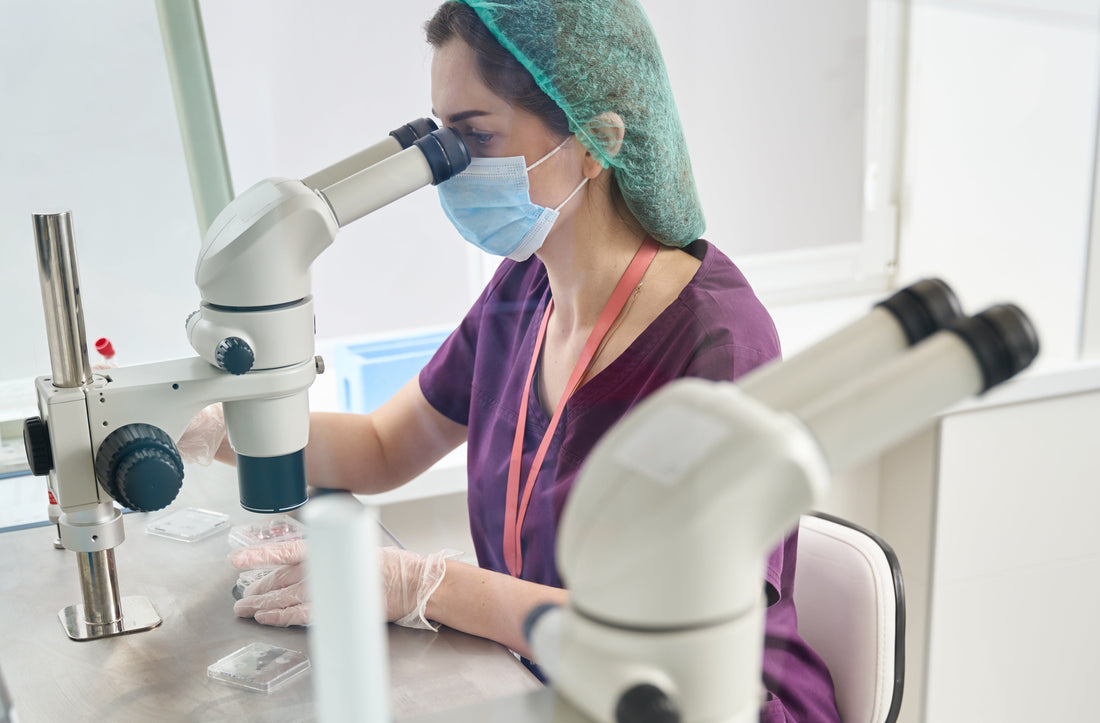 The Best Embryo to Transfer for IVF Success According to an Embryologi ...